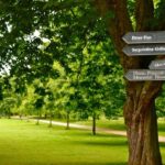Natural History Museum e Kensington Garden - Who Should Consider This Tour?