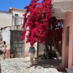 Naxos: Island Tour with Private Car and Driver - An Authentic Naxos Day in Focus