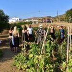 Naxos Private Cheese and Wine 6 Hour Experience - Practical Details and What It Means for You
