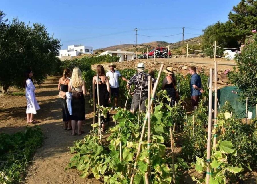 Naxos Private Cheese and Wine 6 Hour Experience - Practical Details and What It Means for You