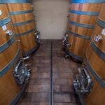 NEIVE: WINERY TOUR AND TASTING OF 5 WINES - Value for Money