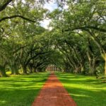New Orleans: Oak Alley Plantation Tour with Transportation - The Big House Tour