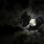 New Orleans: Private Haunted Excursion Tour - The Experience: What You Can Expect