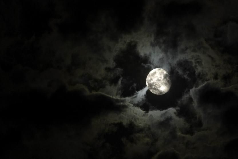 New Orleans: Private Haunted Excursion Tour - The Experience: What You Can Expect