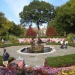 New York City : Central Park Walking Tour With A Guide - Exploring the Park’s Main Attractions and Hidden Corners