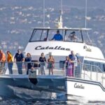 Newport Beach: Luxury Whale Watching Catamaran Cruise - What to Expect on the Cruise