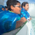 Niagara Falls: VIP Maid of the Mist & Cave of the Winds Tour - How the Experience Feels