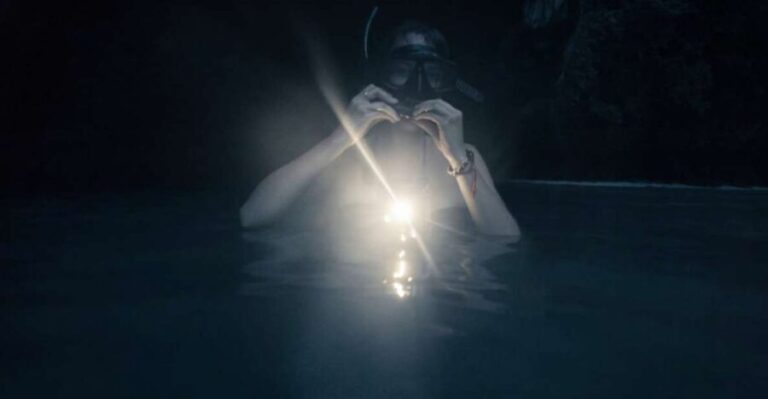 Night Time Snorkel At Turtle Town With Lights And Stars - Pricing and Value