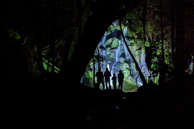 Nocturnal adventure Glow-worm tour - What to Expect on the Night