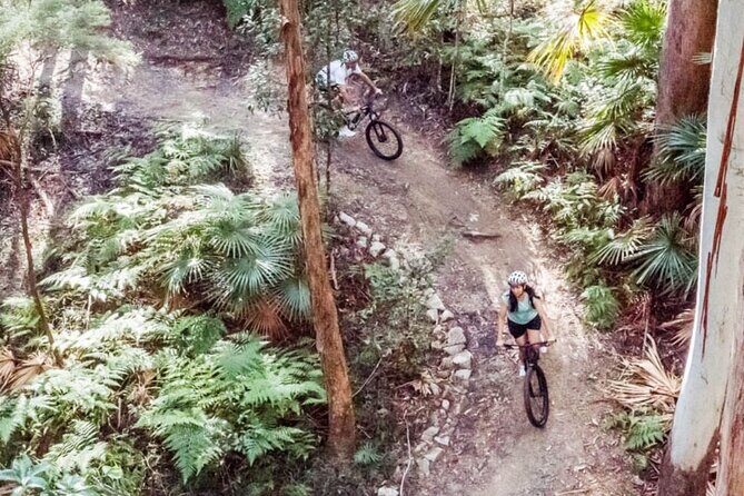 Noosa eMtn Bike Tour: Exploring a National Park on Fun MTB Trails - FAQ