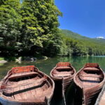 North Montenegro return trip - Biogradska Gora National Park - Overall Experience Breakdown