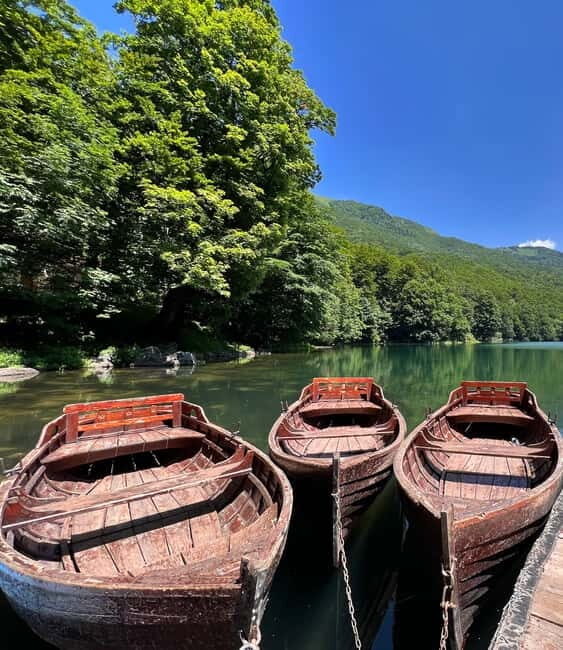 North Montenegro return trip - Biogradska Gora National Park - Overall Experience Breakdown