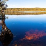 North Stradbroke Island Private Tour with Pickup - What Makes This Tour Stand Out?