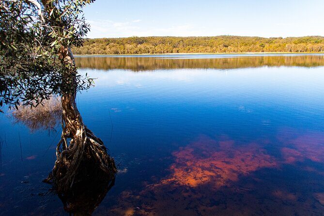 North Stradbroke Island Private Tour with Pickup - What Makes This Tour Stand Out?