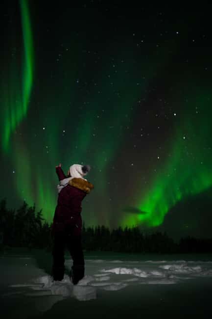 Northern Lights Reindeer Sledge Ride - The Overall Value