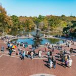NYC: Central Park Rickshaw Tour / Private and Guided - What Makes This Tour Stand Out