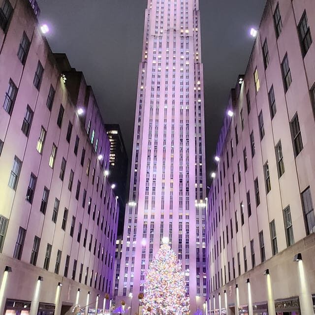 NYC: Christmas Lights Horse Carriage Ride - The Highlights of Your Holiday Carriage Ride