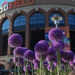 NYC: Citi Field Insider Guided Ballpark Tour - An In-Depth Look at the Citi Field Tour
