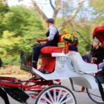 NYC: Guided Standard Central Park Carriage Ride (4 Adults) - Break down of the Itinerary: What You’ll See and Experience