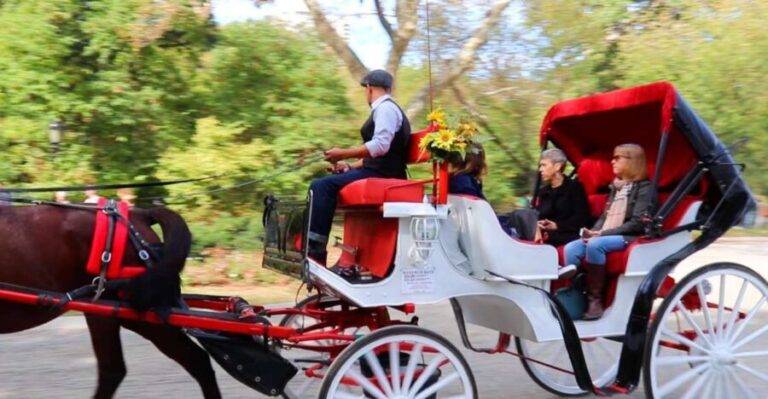 NYC: Guided Standard Central Park Carriage Ride (4 Adults) - Break down of the Itinerary: What You’ll See and Experience