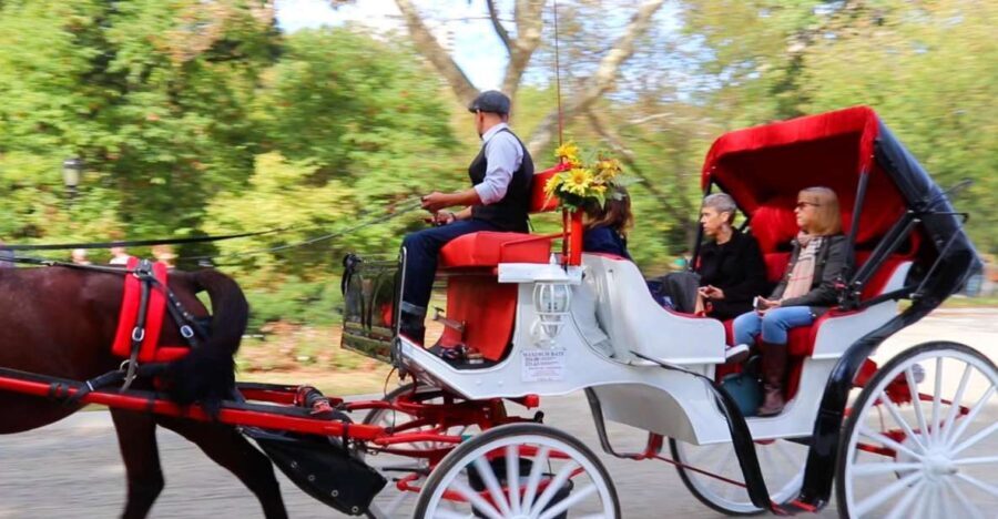 NYC: Guided Standard Central Park Carriage Ride (4 Adults) - Break down of the Itinerary: What You’ll See and Experience