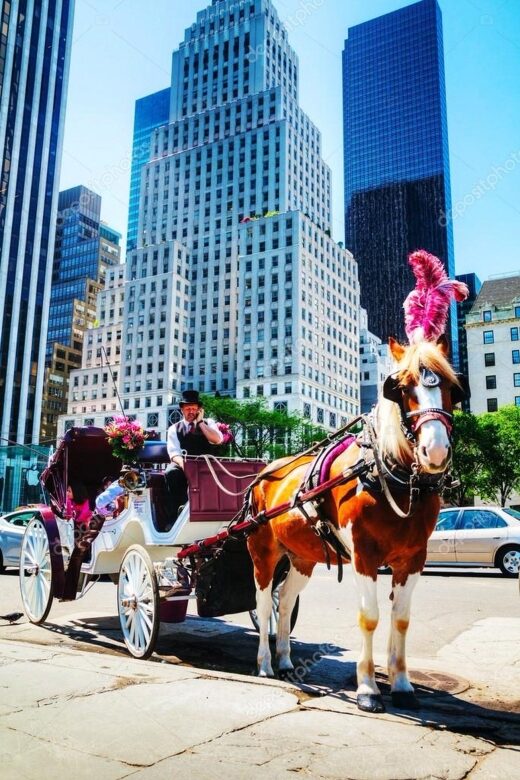 NYC Private Central Park Horse Carriage Ride with Guide - Real-World Experiences and Reviews