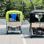 NYC: Private Central Park Pedicab Tours / PICKUP FROM MUSEUM - What to Expect from Your Central Park Pedicab Tour