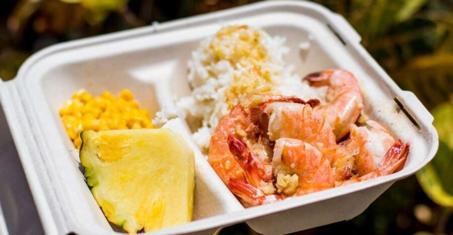 Oahu: Circle Island Day Trip with Shrimp Plate Lunch - Final Thoughts