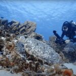 Oahu : Hanauma Bay Reservation+Equipment Rental - How the Itinerary Works