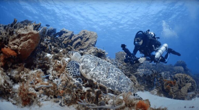 Oahu : Hanauma Bay Reservation+Equipment Rental - How the Itinerary Works