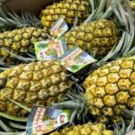 Oahu: North Shore Dole Pineapple Farm Tour - The Value and Overall Experience