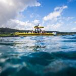 Oahu: North Shore Snorkeling Tour from Haleiwa - Authentic Insights from Reviews