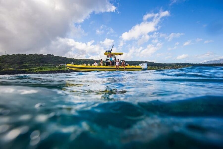 Oahu: North Shore Snorkeling Tour from Haleiwa - Authentic Insights from Reviews