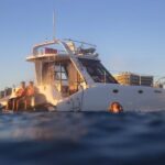 Oahu: Private Turtle Snorkeling with Customizable Itinerary - Exploring the Experience in Detail