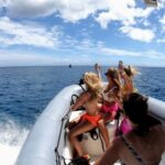 Oahu: Private Whale Watching Adventure - The Itinerary in Detail