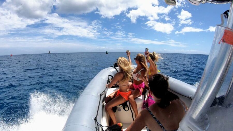 Oahu: Private Whale Watching Adventure - The Itinerary in Detail