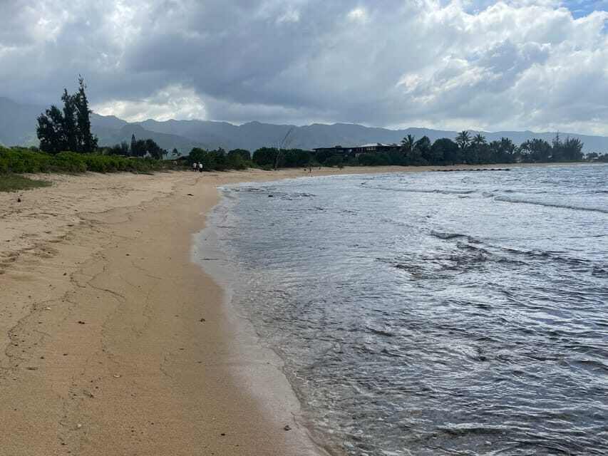 Oahu: Shoreline Restoration Tour w/ Native Plants & Animals - A Detailed Review of the Shoreline Restoration Tour