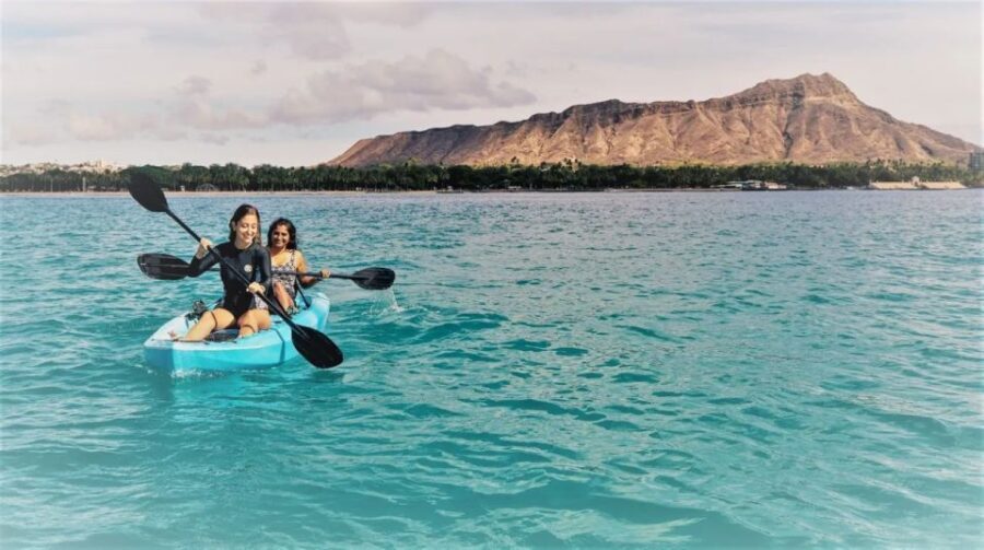Oahu: Waikiki Kayak Tour and Snorkeling with Sea Turtles - A Closer Look at the Experience