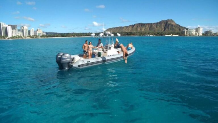Oahu: Waikiki Private Snorkeling and Wildlife Boat Tour - Final Thoughts: Why Choose This Tour?