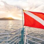 Oahu: Waikiki Turtle Canyons Cruise and Snorkel Excursion - Key Points