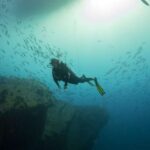 Oahu: Wreck & Reef Scuba Dive for Certified Divers - A Closer Look at the Experience