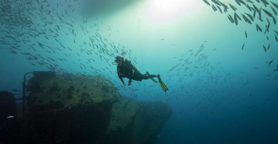 Oahu: Wreck & Reef Scuba Dive for Certified Divers - A Closer Look at the Experience