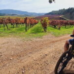 Óbidos: E-Bike Tour to Quinta do Gradil with Wine Tasting - Who Will Love This Tour?