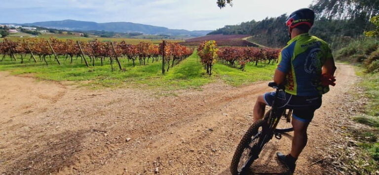 Óbidos: E-Bike Tour to Quinta do Gradil with Wine Tasting - Who Will Love This Tour?