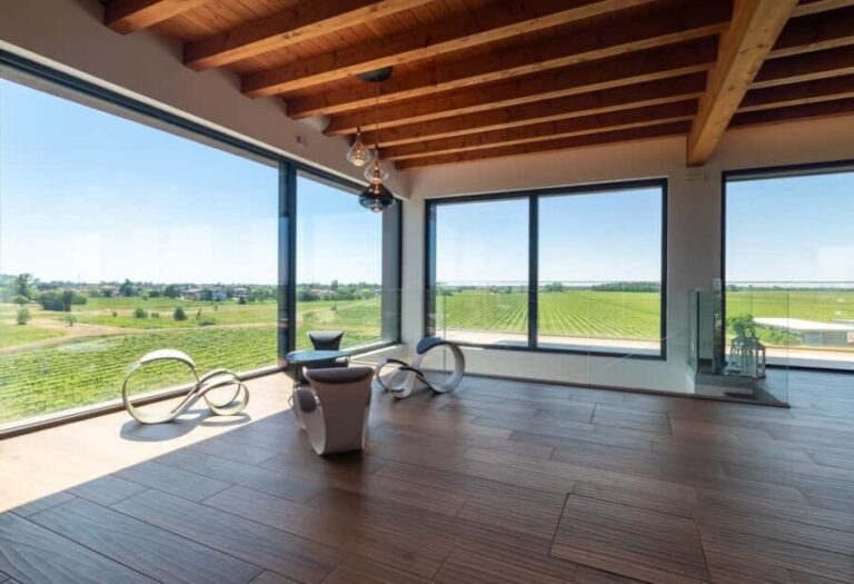 Off-road tour through vineyards and organic wine tasting Villa Bogdano 1880 - Practical Details and Considerations