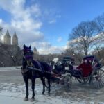 Official Exclusive VIP Horse Carriage Ride in Central Park - A Little About the Guides and Comfort