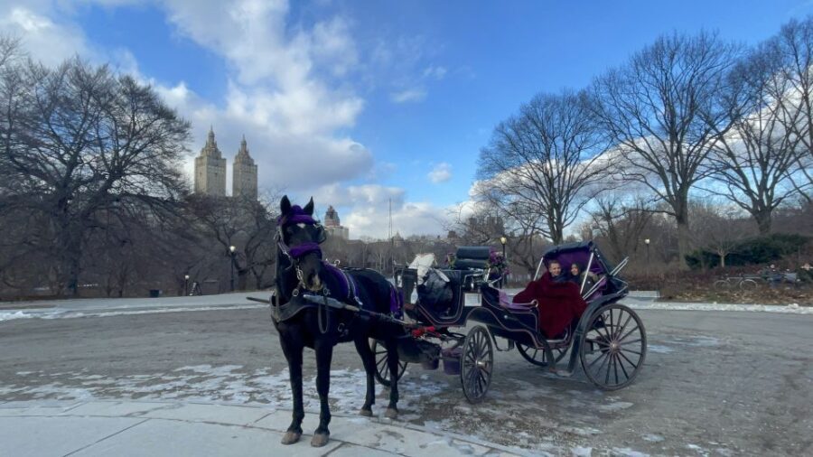 Official Exclusive VIP Horse Carriage Ride in Central Park - A Little About the Guides and Comfort