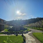 Ohrid: Distillery Balaklija Traditional Rakia Tasting - Why This Tour Is Worth Considering