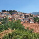 Ohrid: Old City Walking Tour with Local Guide - Practical Details and Value