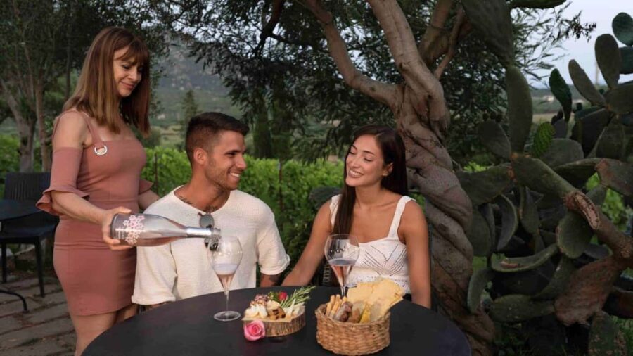 Olbia: Winery Aperitif with Local Products and Wine - Pricing and Value